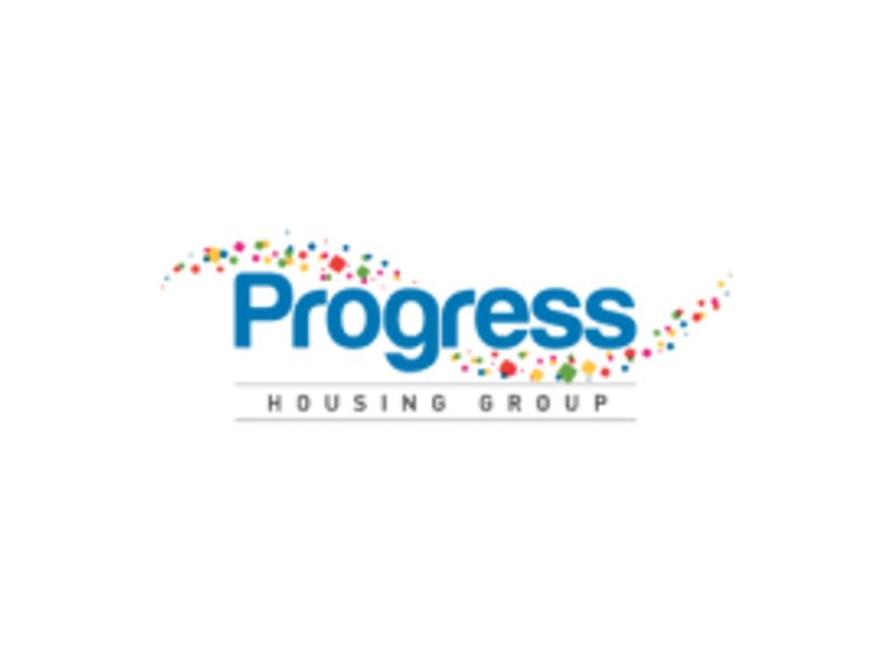 Our business streams | Progress Housing Group